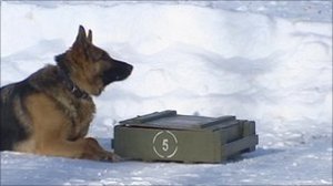 Russian Cyborg Tank Killing and Bomb Sniffing Dogs ...