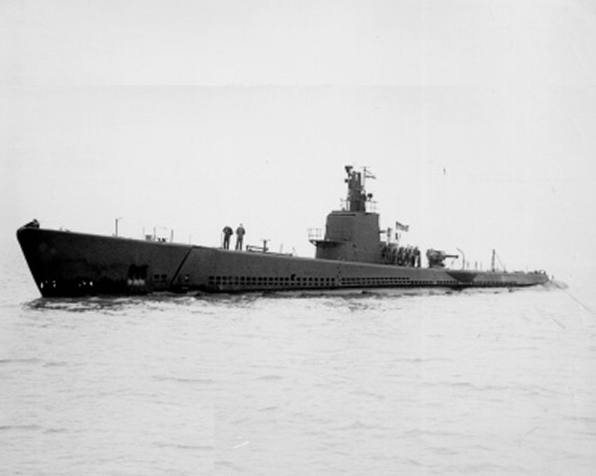 January | 2013 | laststandonzombieisland