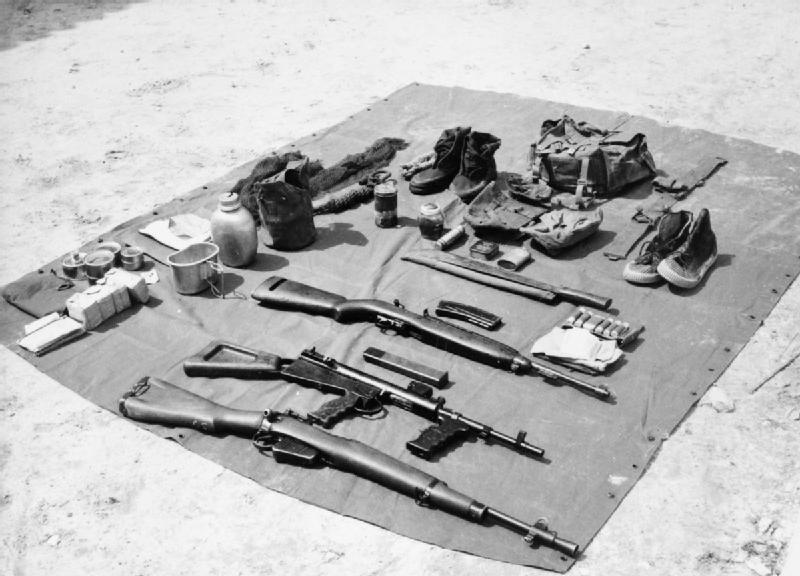 jungle enfield | laststandonzombieisland