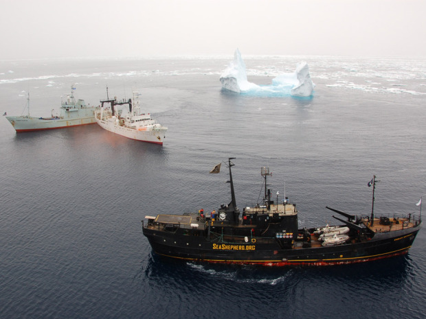 Former Sea Shepherd Ship still causing problems | laststandonzombieisland