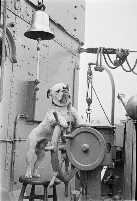 Warship Wednesday Aug 12, His Majesty’s Frozen U-boat Busting Bulldog ...