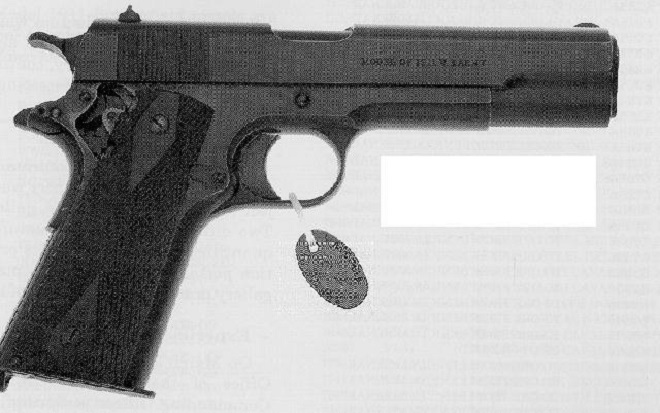 Army pistol | laststandonzombieisland