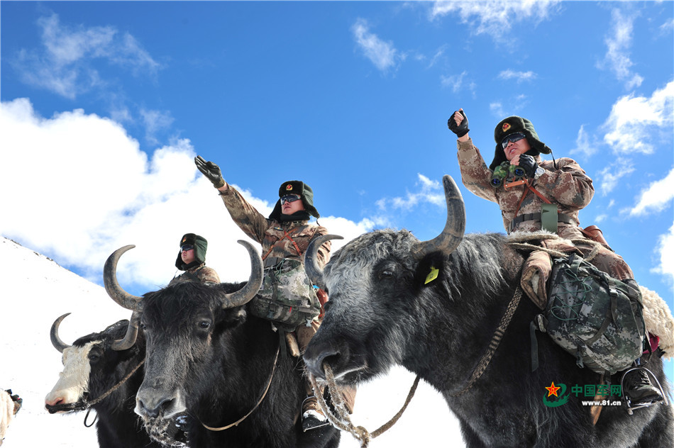 chinese yak cavalry | laststandonzombieisland