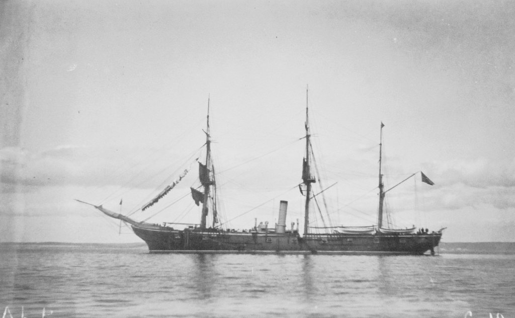 old warships | laststandonzombieisland | Page 22