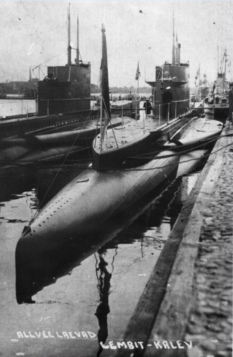 lembit_4 | laststandonzombieisland