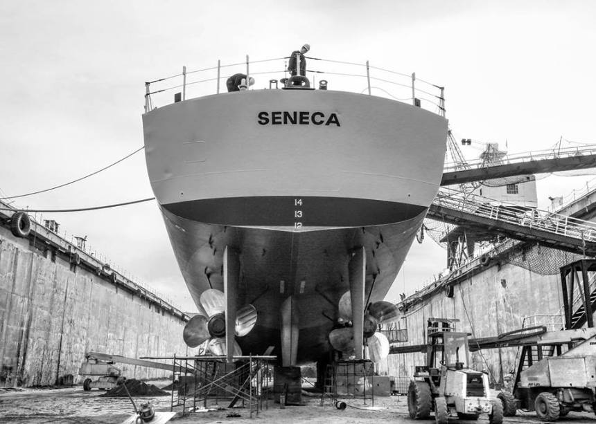 Seneca | laststandonzombieisland