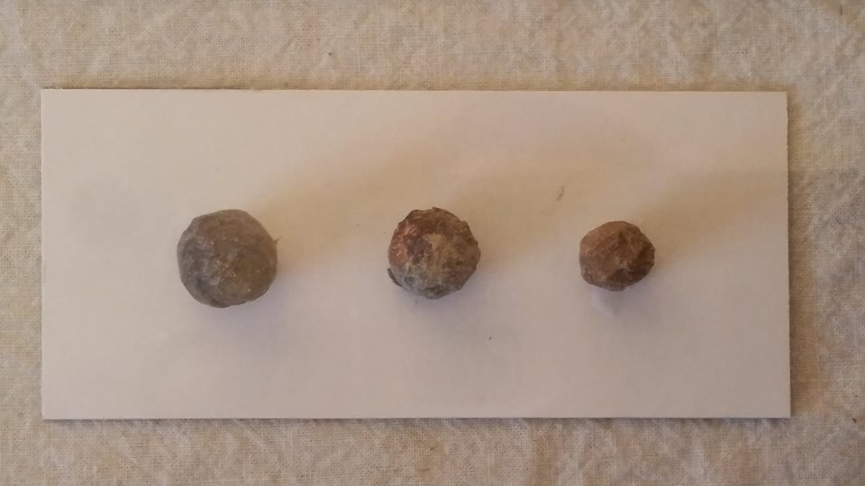 The 3 musket balls on display at Fort Bowie are covered with chew marks ...