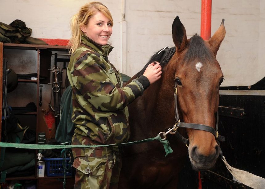 Happy St. Patrick’s Day: The Irish Blue Hussars | laststandonzombieisland