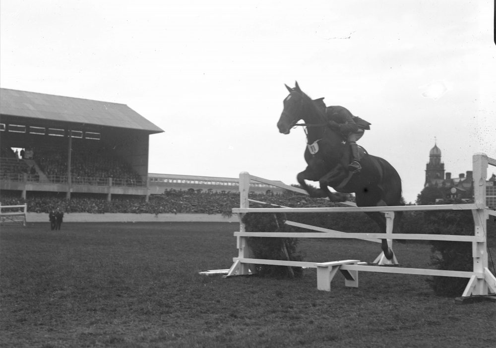 Happy St. Patrick’s Day: The Irish Blue Hussars | laststandonzombieisland