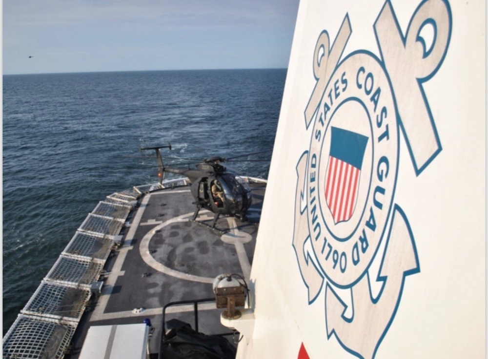 Of Swamp Rats and Little Birds | laststandonzombieisland