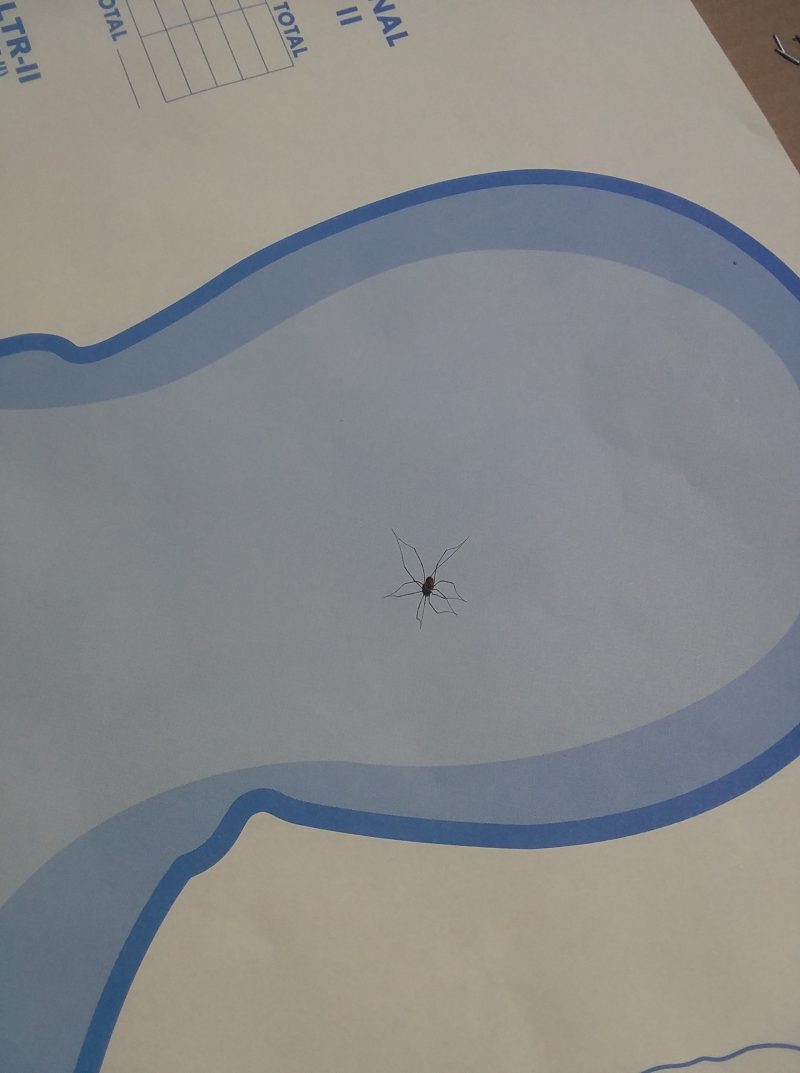 Eight legs of range fury | laststandonzombieisland