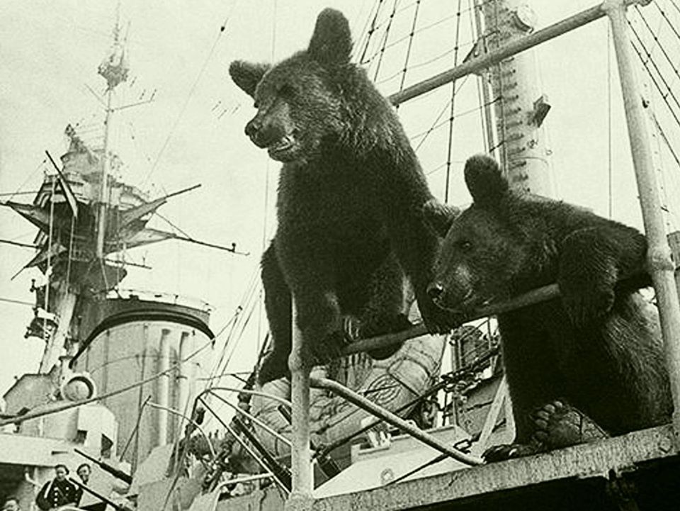 bear mascots on HMS Royal Sovereign after she was renamed Arkhangelsk ...