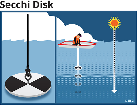 Secchi disk | laststandonzombieisland