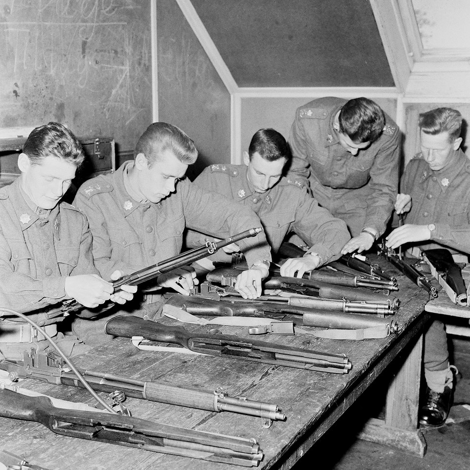 Danish M1 Garand | laststandonzombieisland