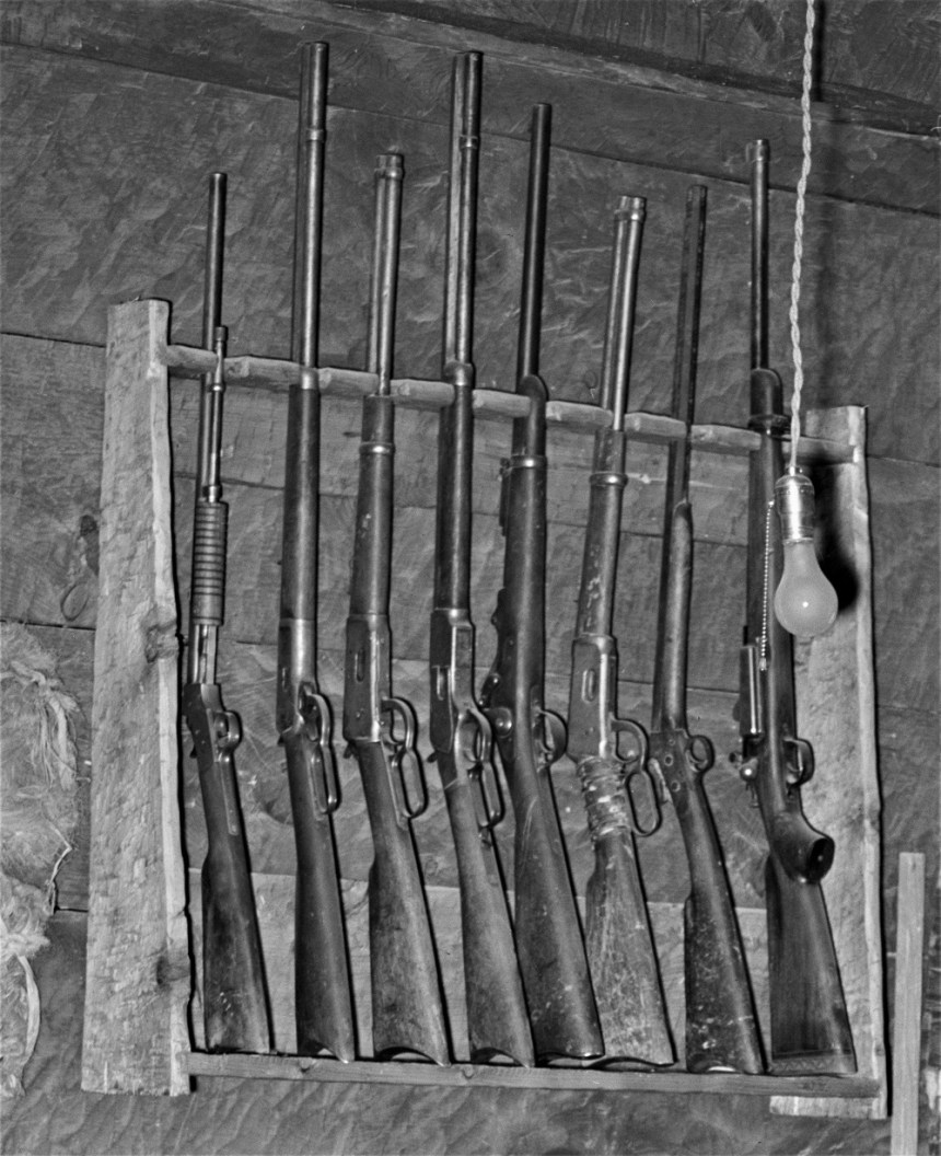 laststandonzombieisland | Weapons, Wars, Preparation and Security from ...