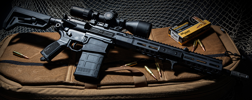 Sig promises a more affordable 716 rifle | laststandonzombieisland