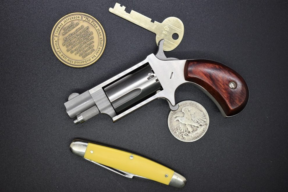 Little Guns, now Employee-Owned | laststandonzombieisland