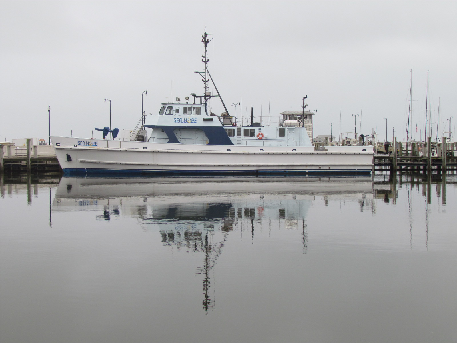 Yippe, is that you? | laststandonzombieisland