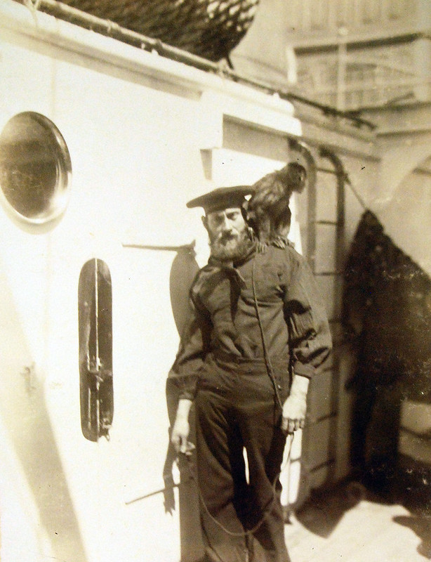 Navy monkey mascot | laststandonzombieisland