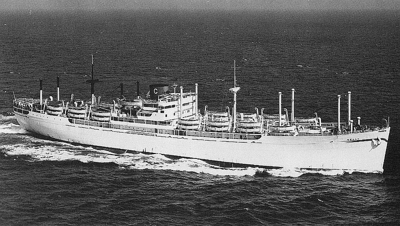 MS Nelly is seen at sea | laststandonzombieisland