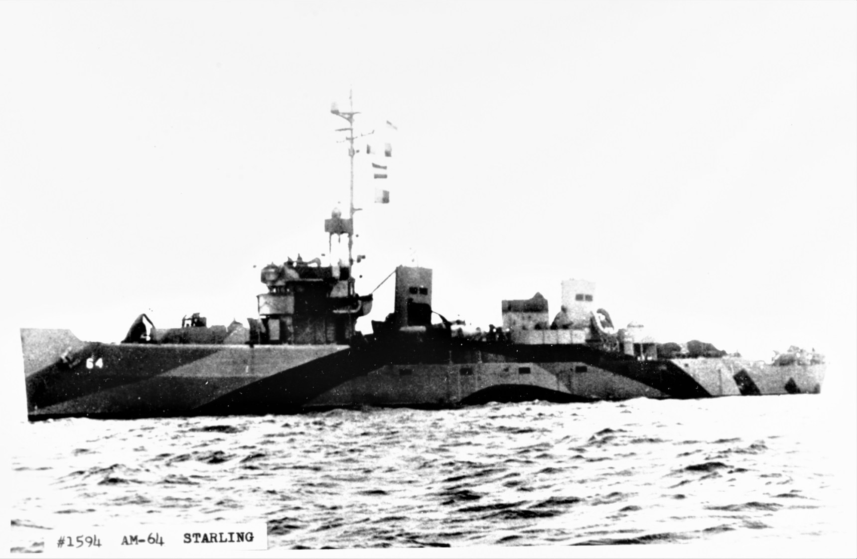 minesweeper Starling | laststandonzombieisland