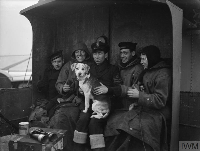 HMS Cossack | laststandonzombieisland