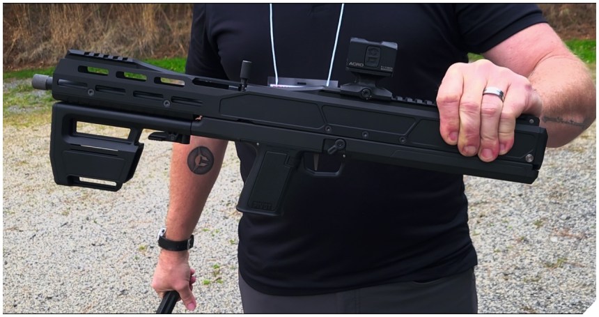 Mantis dry fire | laststandonzombieisland