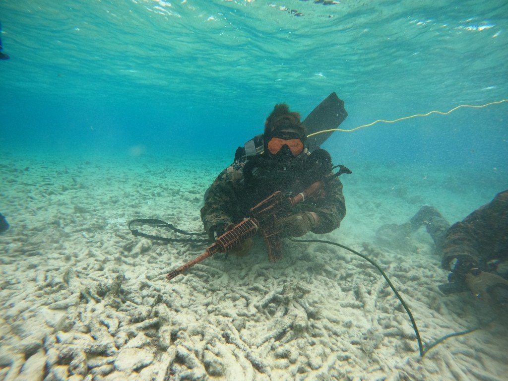 2d Reconnaissance Battalion | laststandonzombieisland