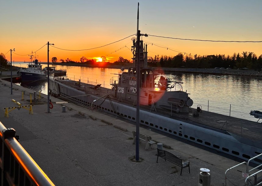 80 Years Ago, Silversides Lashes Out | laststandonzombieisland