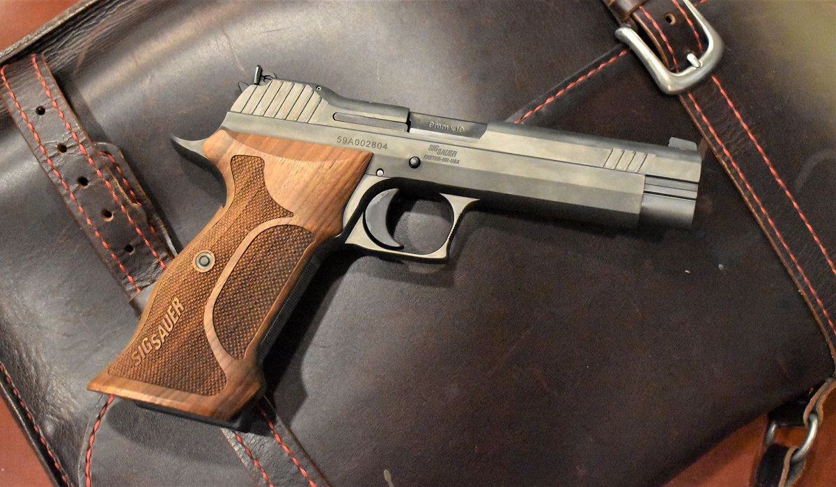 P210 (4) | laststandonzombieisland