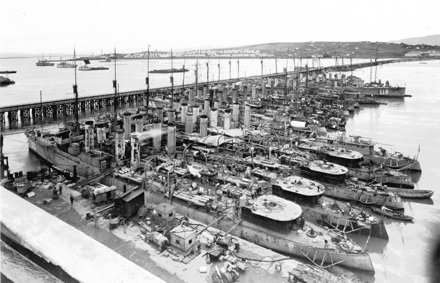 NH 50325 | laststandonzombieisland