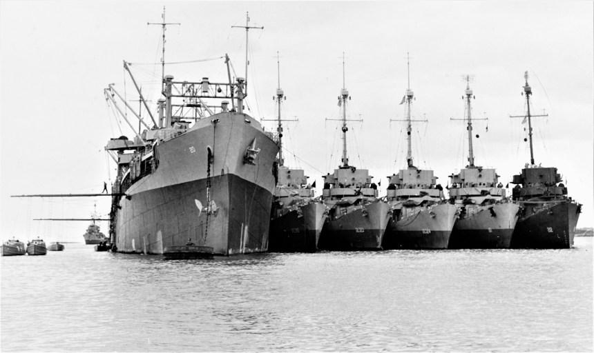 NH 86271 | laststandonzombieisland