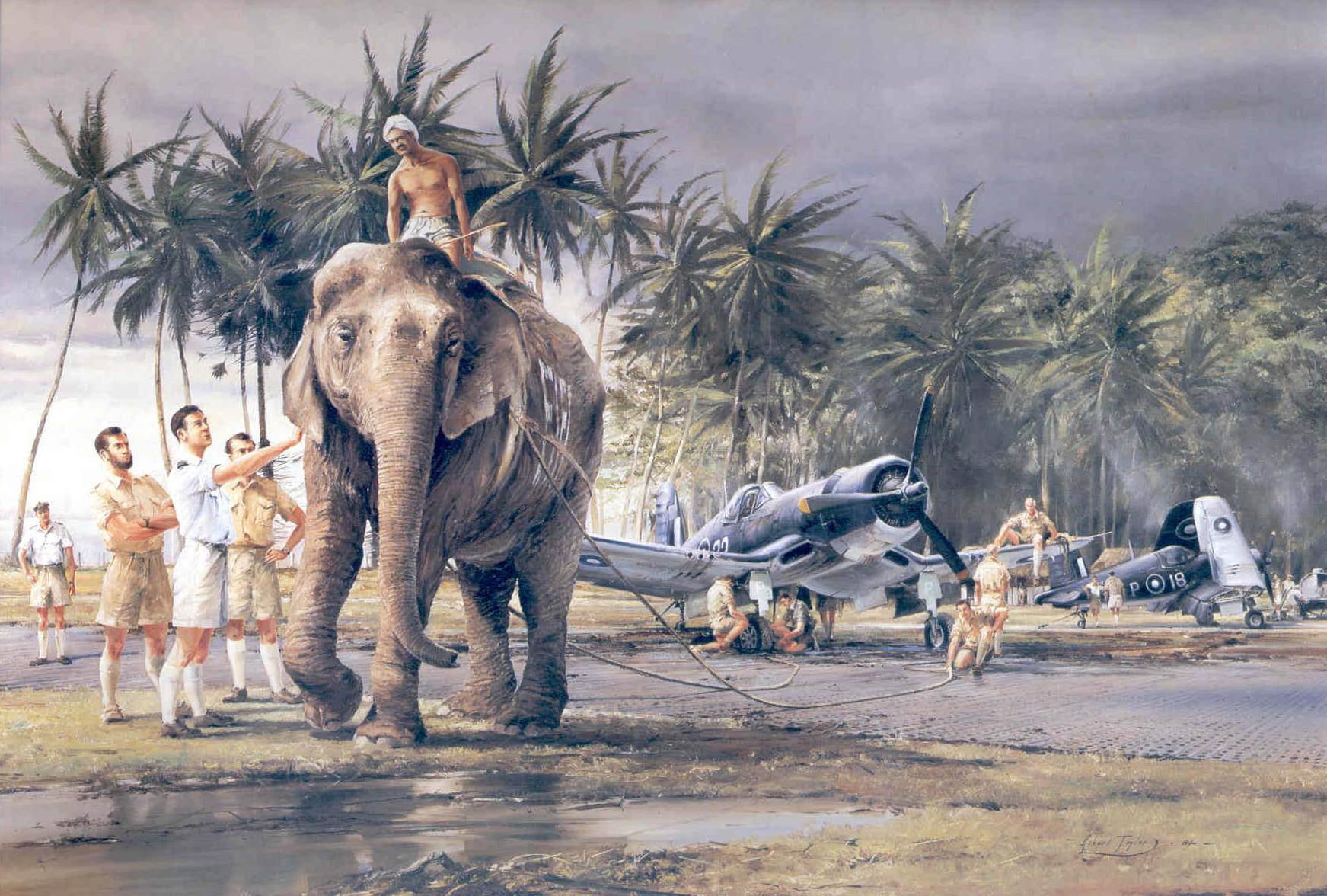 Puttalam Elephants Fifi HMS Rajaliya Ceylon FAA Corsair Robert Taylor ...