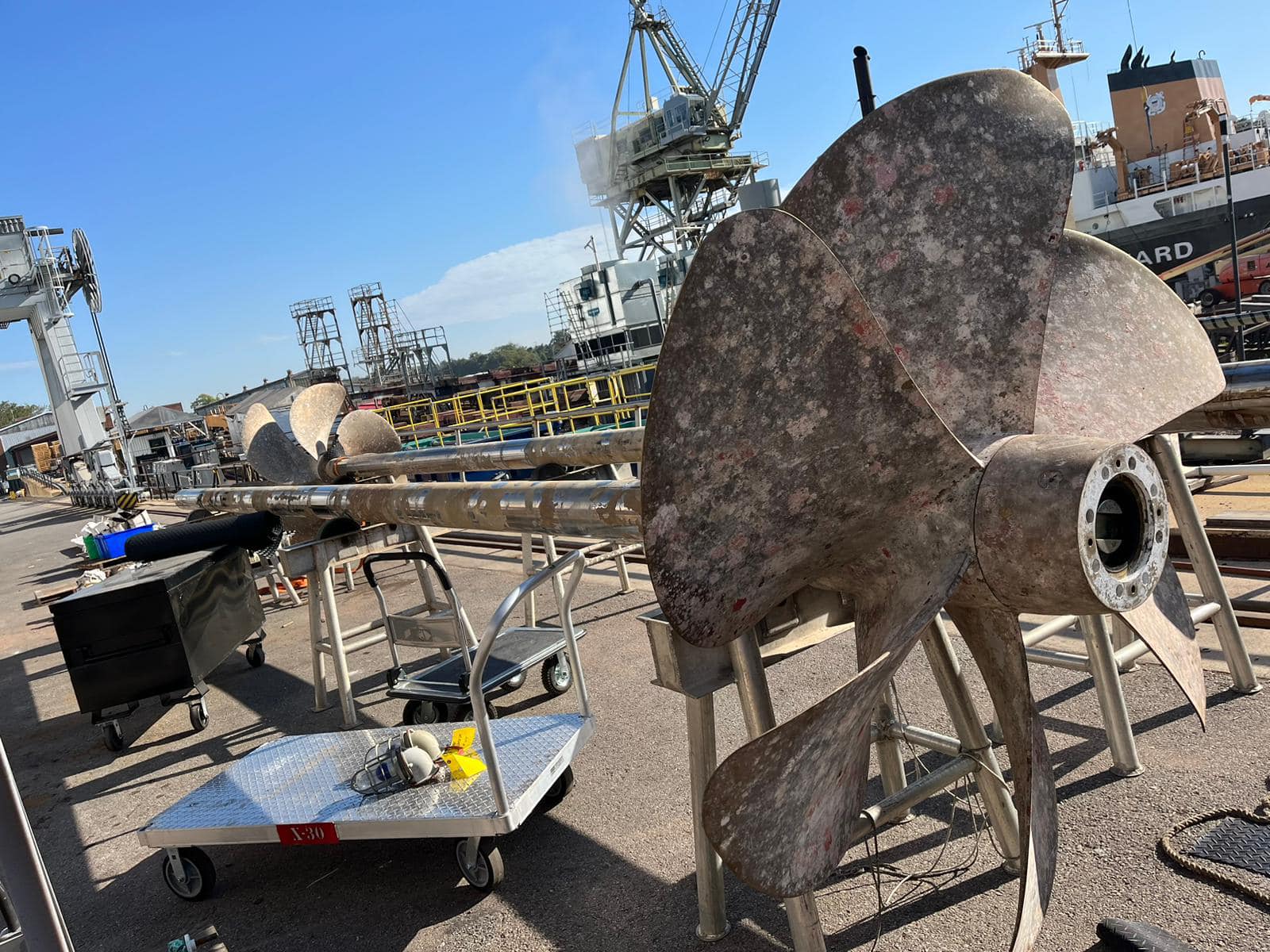 Cutter Robert Yered b | laststandonzombieisland