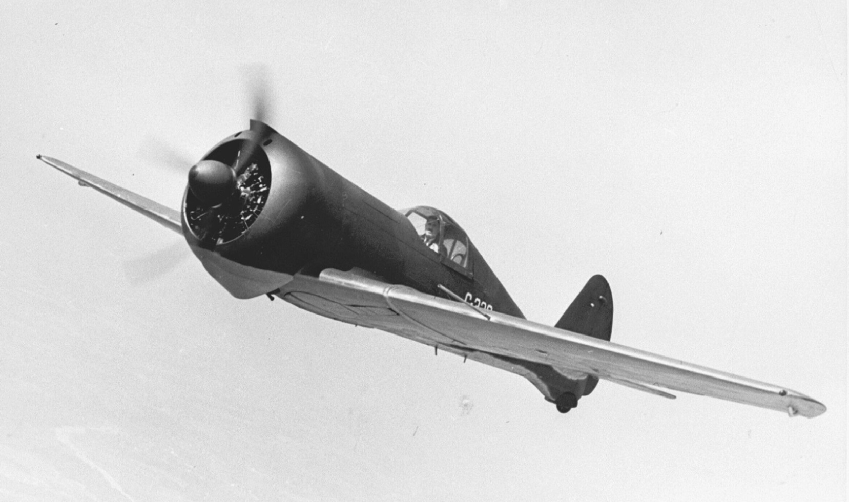 CW-21 prototype | laststandonzombieisland