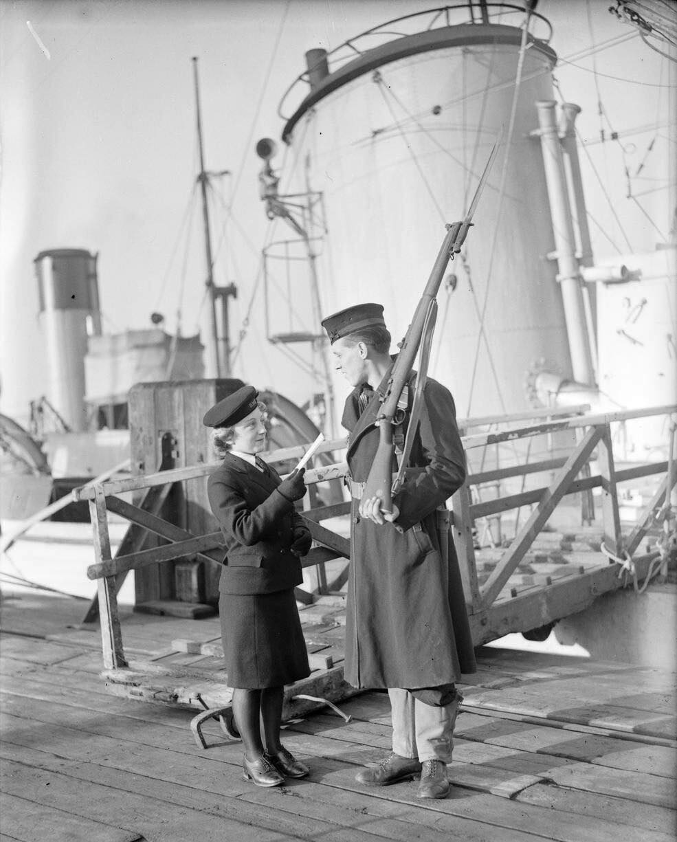 The Littlest Wren | laststandonzombieisland