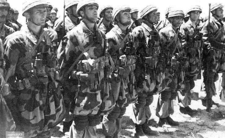 185ª “Folgore” | laststandonzombieisland