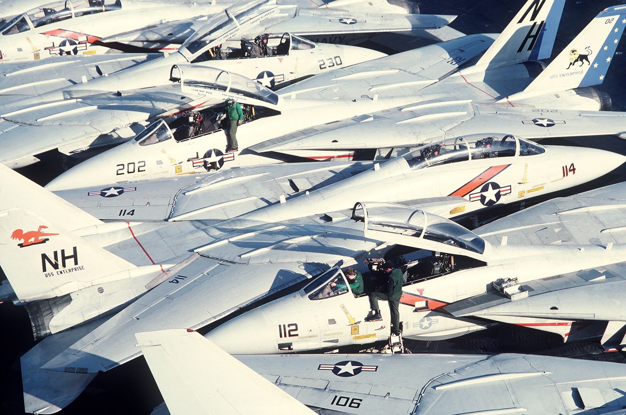 Lions and Aardvarks living together! | laststandonzombieisland