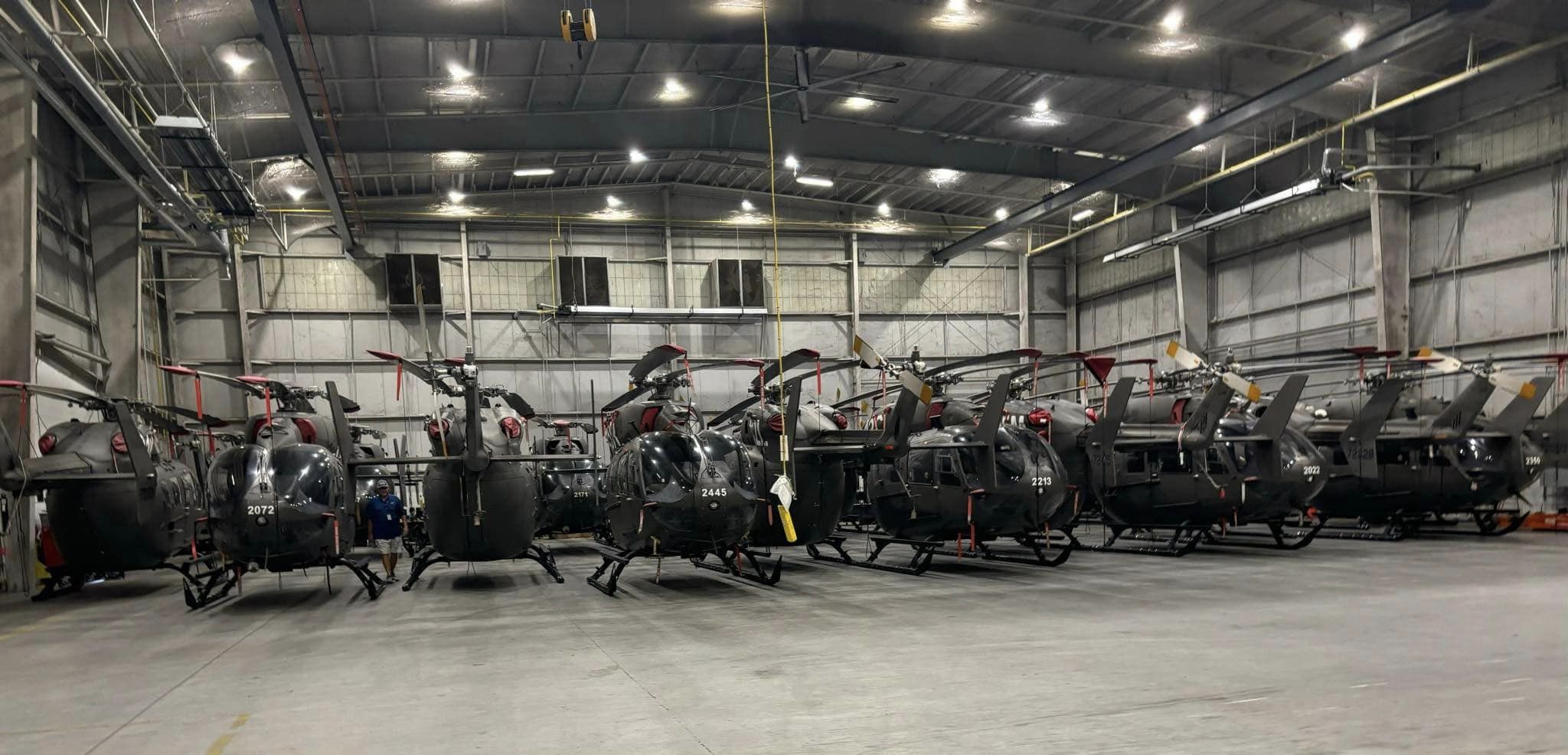 Lakota Sardines | laststandonzombieisland