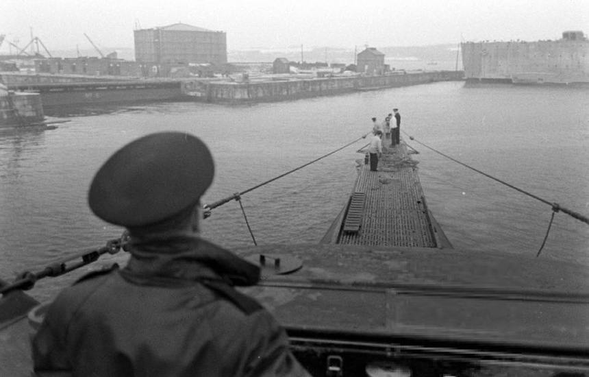 Orzel Scotland LIFE William Vandivert | laststandonzombieisland