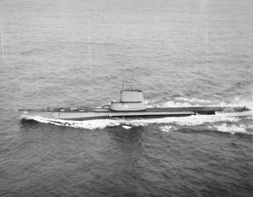 Warship Wednesday Nov. 13, 2024: One Busy Bug | laststandonzombieisland