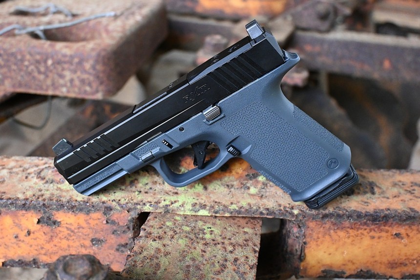 ruger rxm | laststandonzombieisland