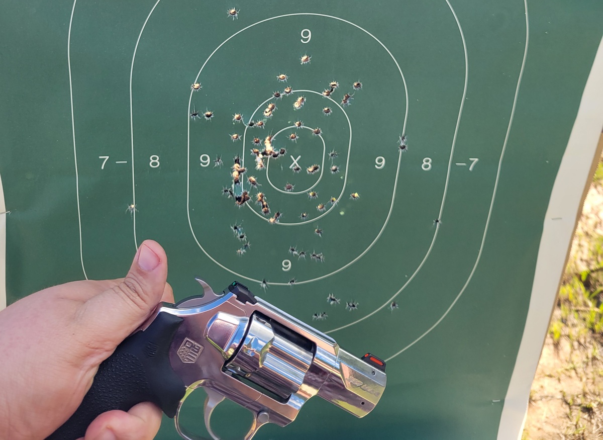 The best new Snub Gun on the market | laststandonzombieisland