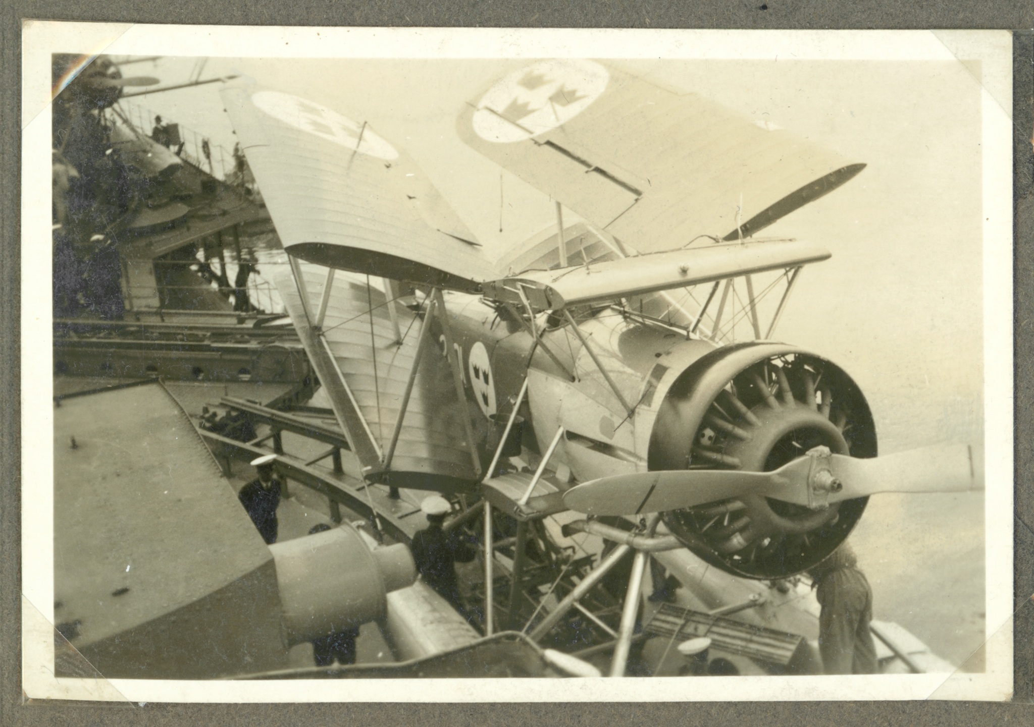 D 15044_62 | laststandonzombieisland