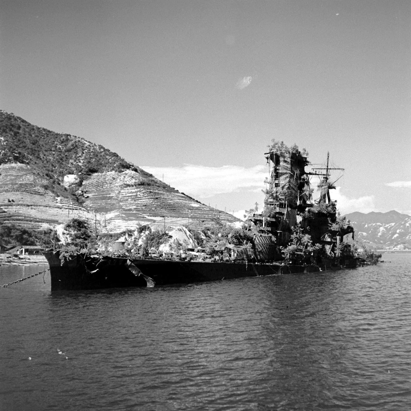 Kongos a Cruising | laststandonzombieisland