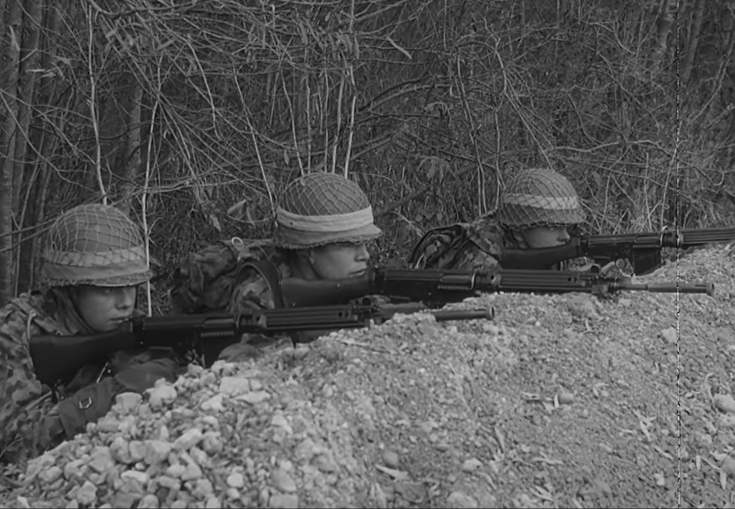 Bundesheer Austrian Army 1960s FAL camo M1 helmets ...